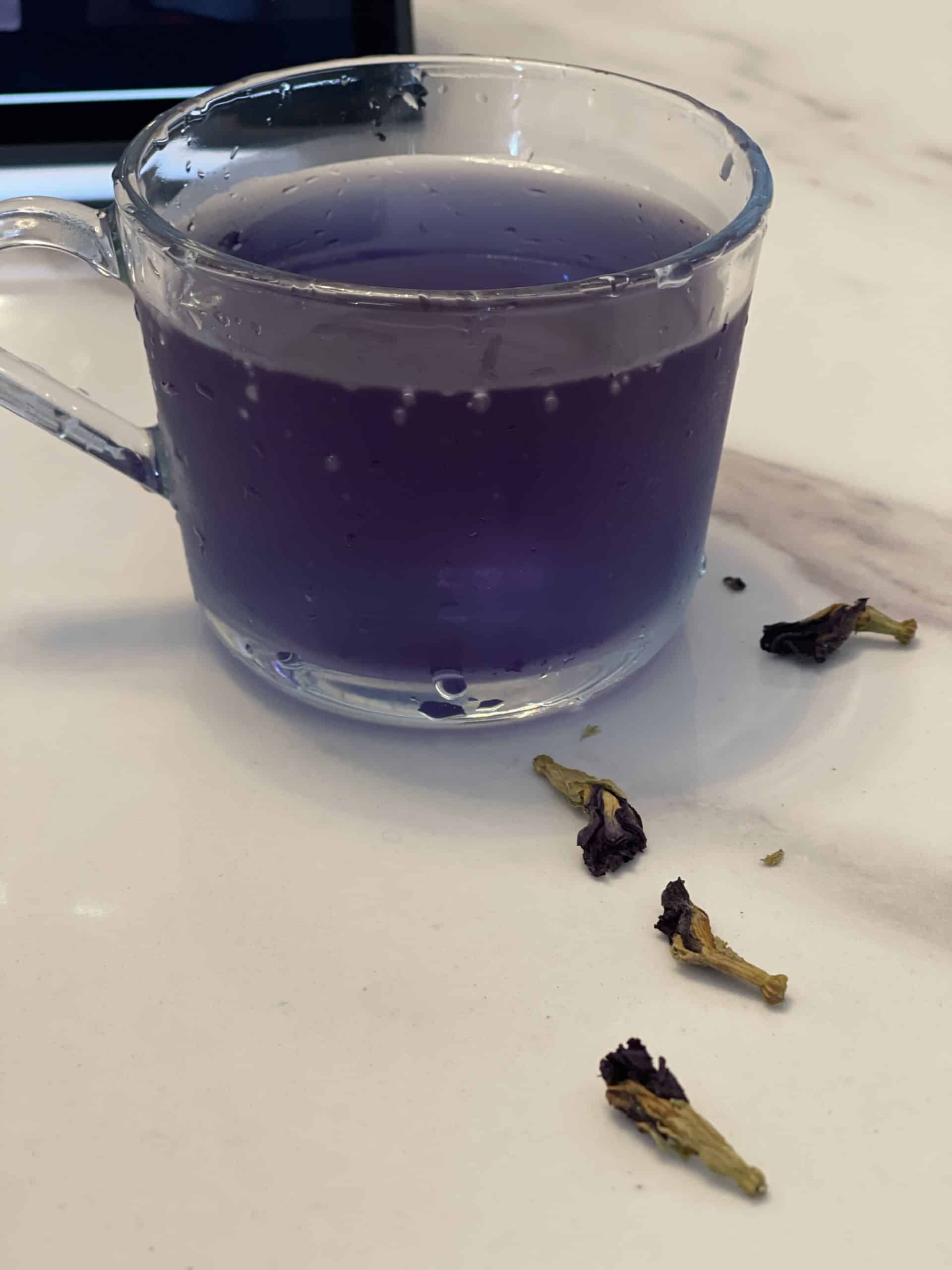 Cold Brew Butterfly Pea Tea (Great Blue Pea Water) 冷泡蝶豆花茶 - My Wok Life ...